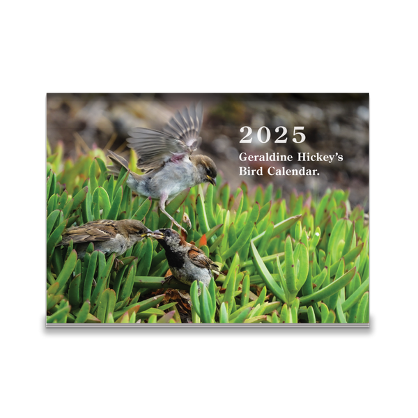 Geraldine Hickey / 2025 Bird Calendar – sound-merch.com.au