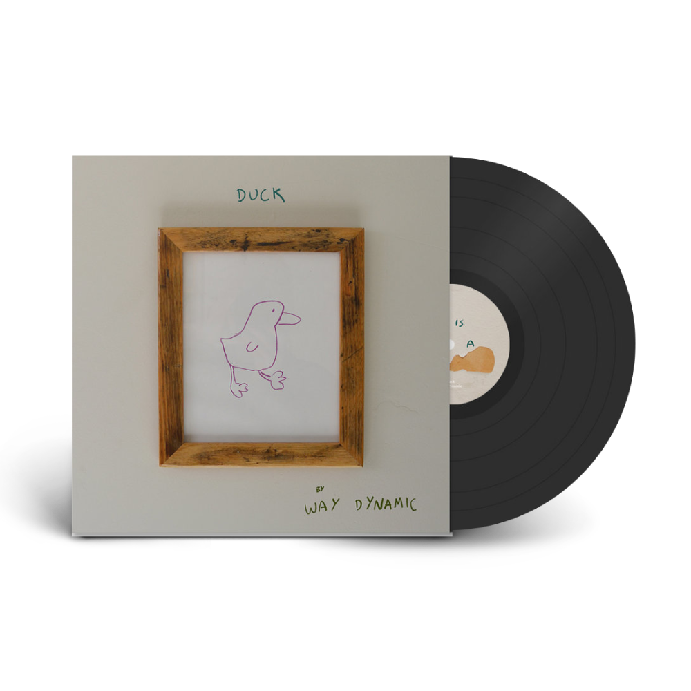 Way Dynamic / Duck LP Mystery Recycled Colour Vinyl – sound-merch.com.au
