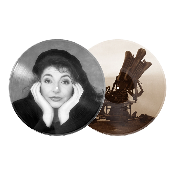 Kate Bush / Cloudbusting Limited Edition Picture Disc LP Vinyl – sound ...