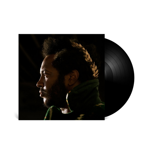 Thundercat / Apocalypse Vinyl – sound-merch.com.au