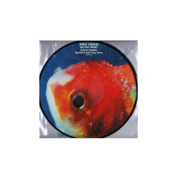 Vince Staples / Big Fish Theory 2xLP Picture Disc Vinyl – sound-merch ...